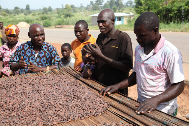World Cocoa Foundation welcomes Framework of Action tackling cocoa and ...