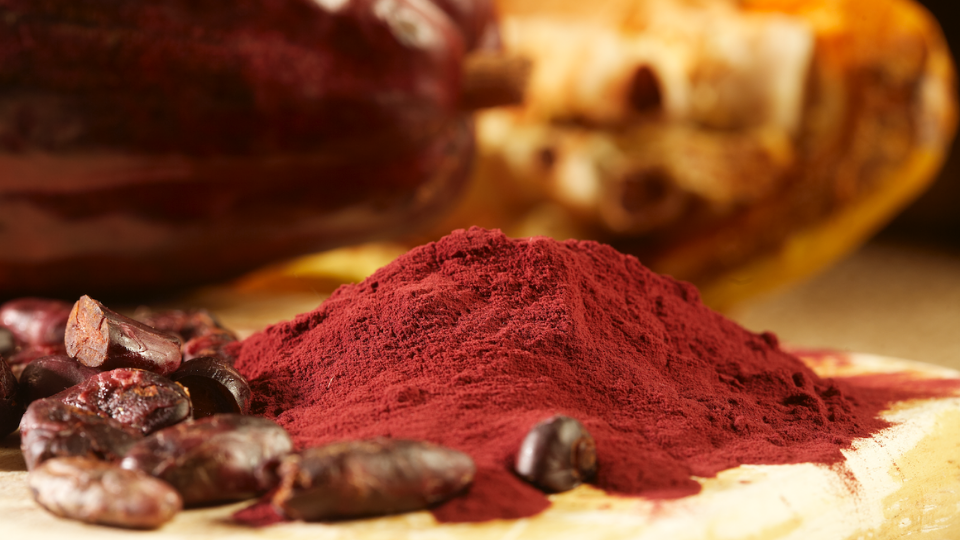 Mars welcomes cocoa studies revealing potential cardiovascular health ...