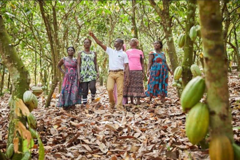 Olam Food Ingredients gains key supply chain of the year honours ...