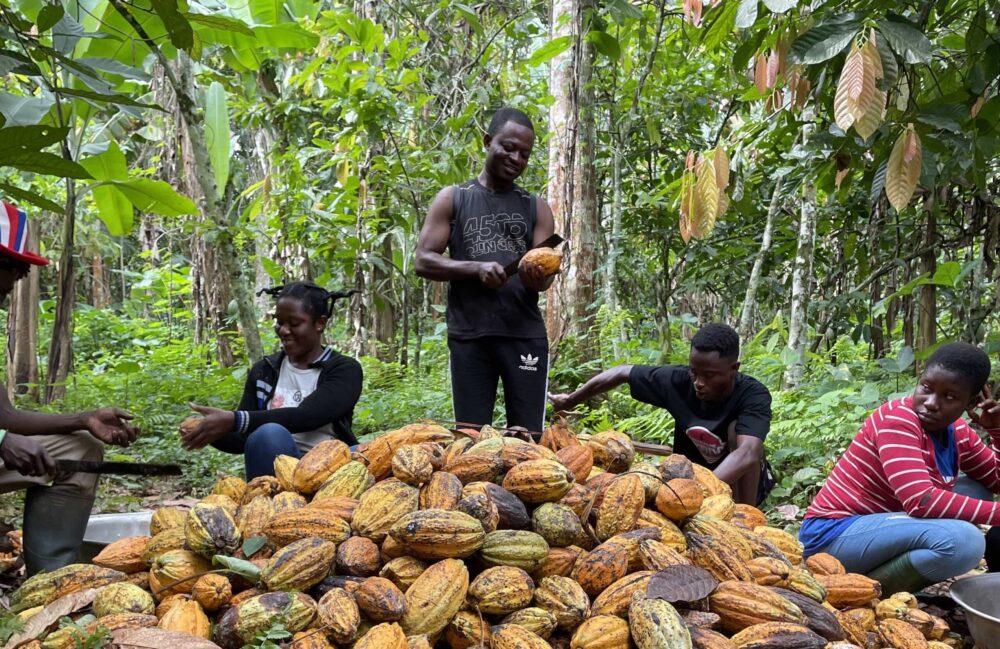 Cargill study finds 70% of European consumers consider sustainability ...