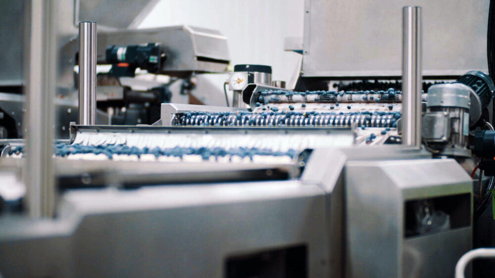 The keys to success with inspection and sorting equipment ...